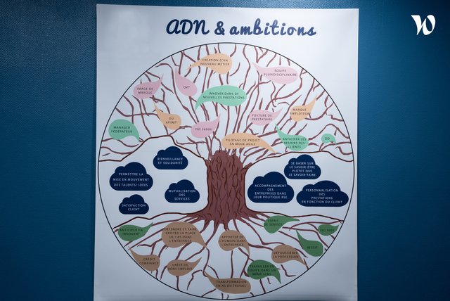 Social Inter, Focsie, Focsie Centre - Entités