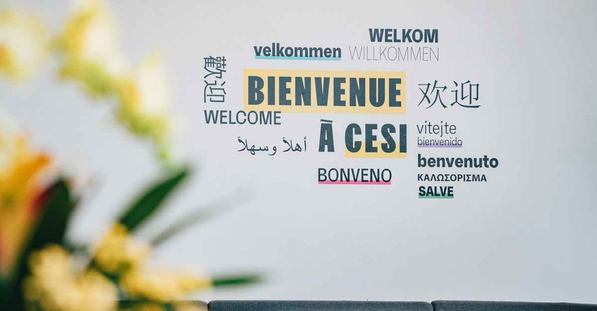 Enseignant responsable pédagogique Généraliste H/F - CESI - CDI à ...