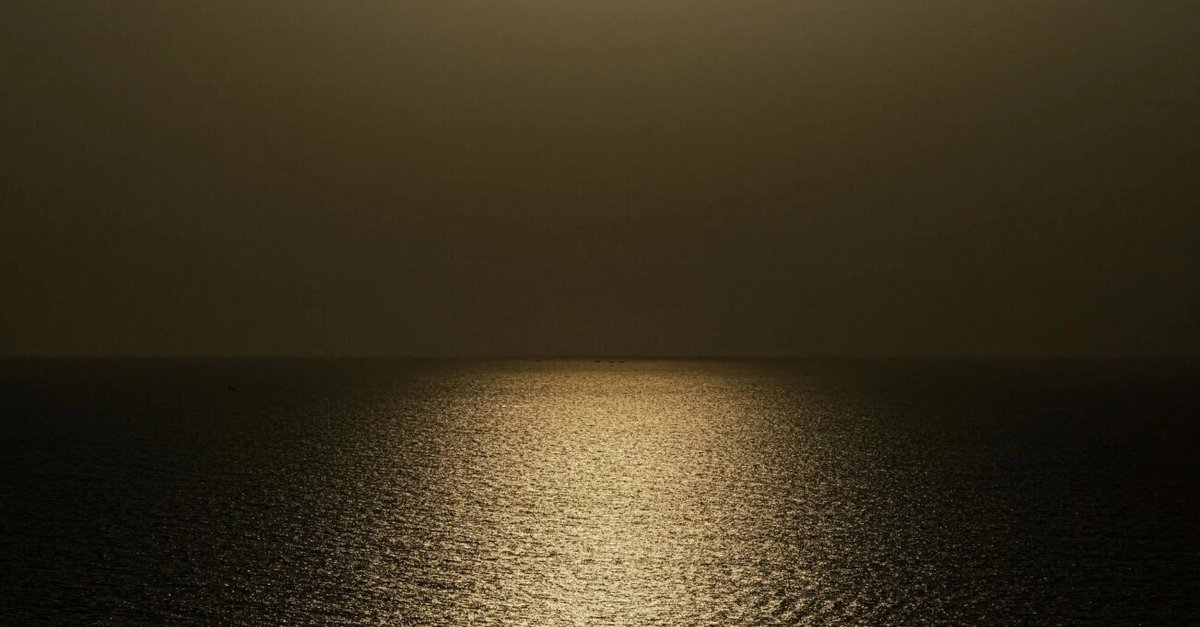 On-Site Concierge (H/F/X) - CDD - Cannes – Le Collectionist – Fixed ...