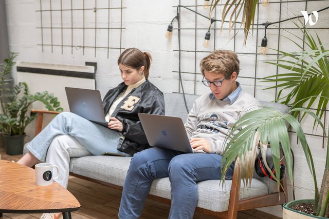 DataBird : photos, vidéos, recrutement