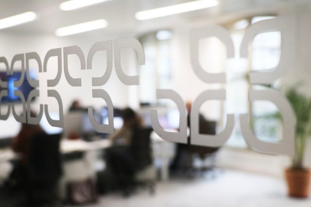 Welcome to the Jungle—The guide to employment