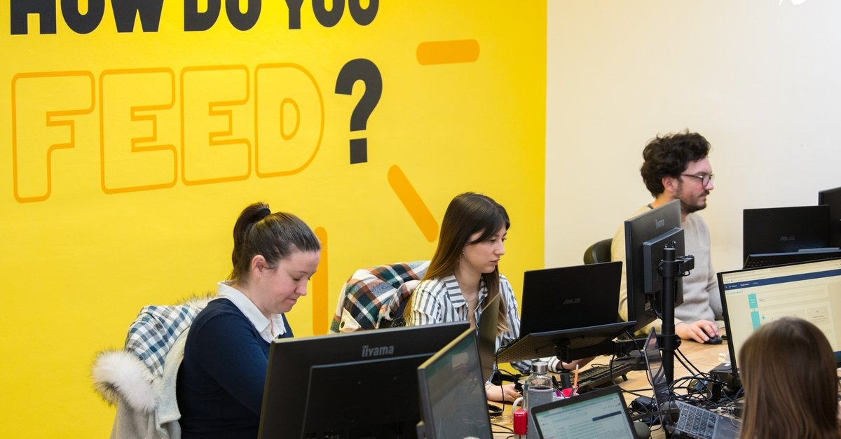 Feed Manager : photos, vidéos, recrutement