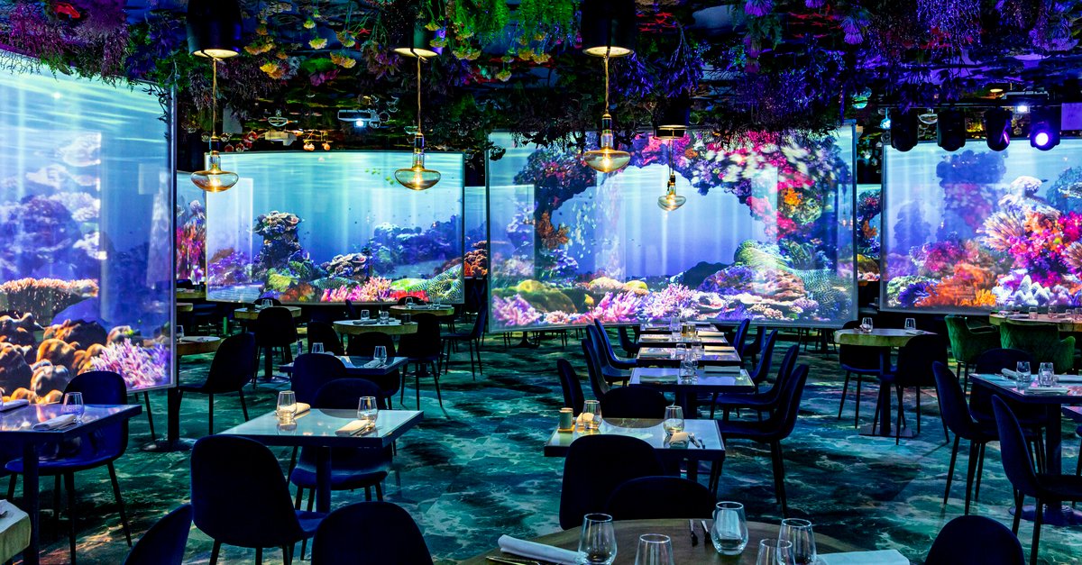 Ephemera group - Les