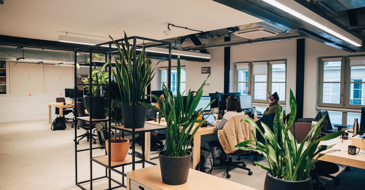Senior Software Engineer - Low-Code Build & Run- 2 – PayFit – Permanent ...