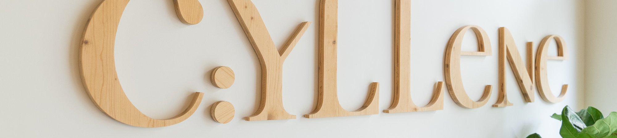 Cyllene : Equipe (vidéos, interviews, photos)