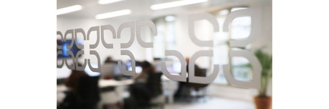 Welcome to the Jungle—The guide to employment