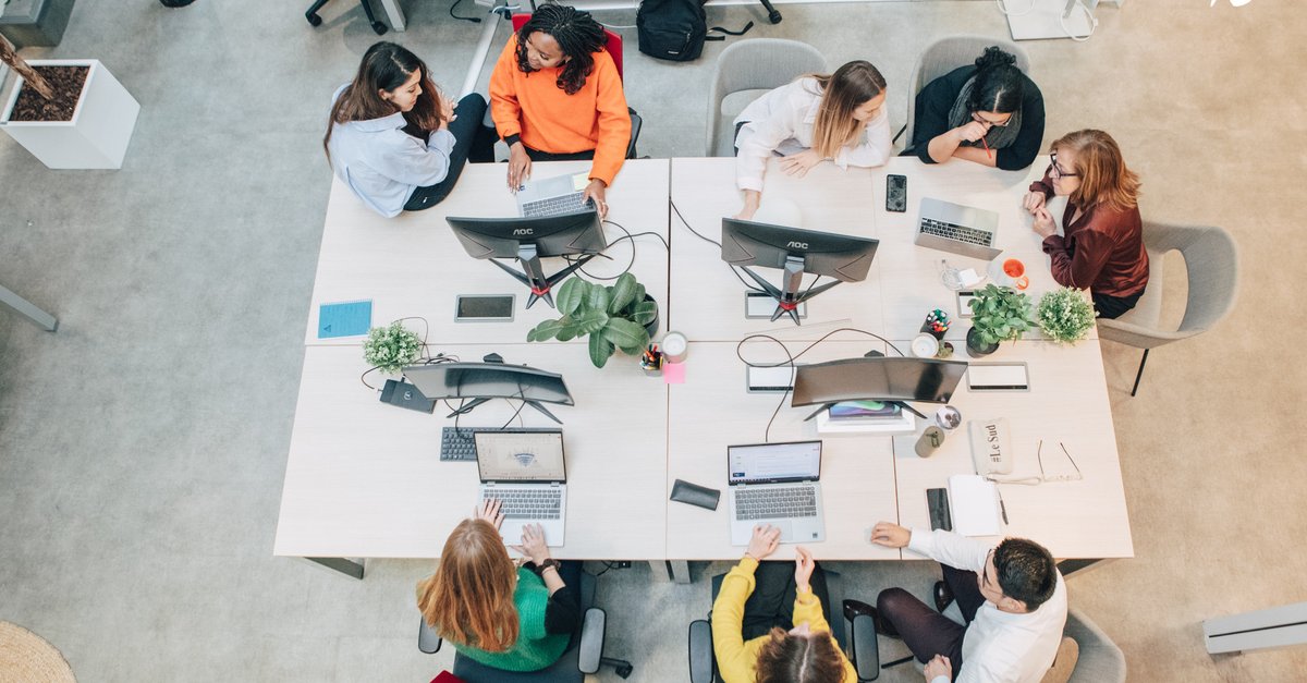 Obea : Equipe (vidéos, interviews, photos)