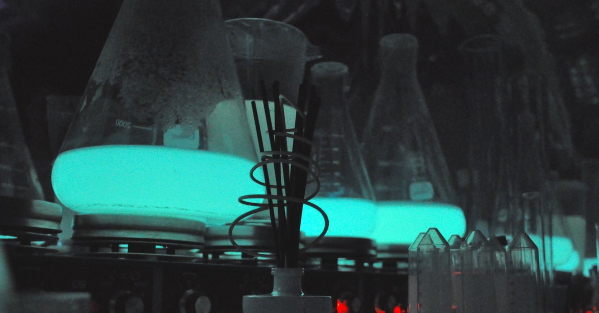 Évènements pour rencontrer les équipes de Glowee