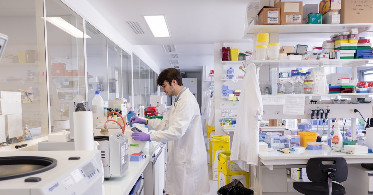 Research Engineer/Postdoc - Bioinformatics and Data Analysis (M/F ...