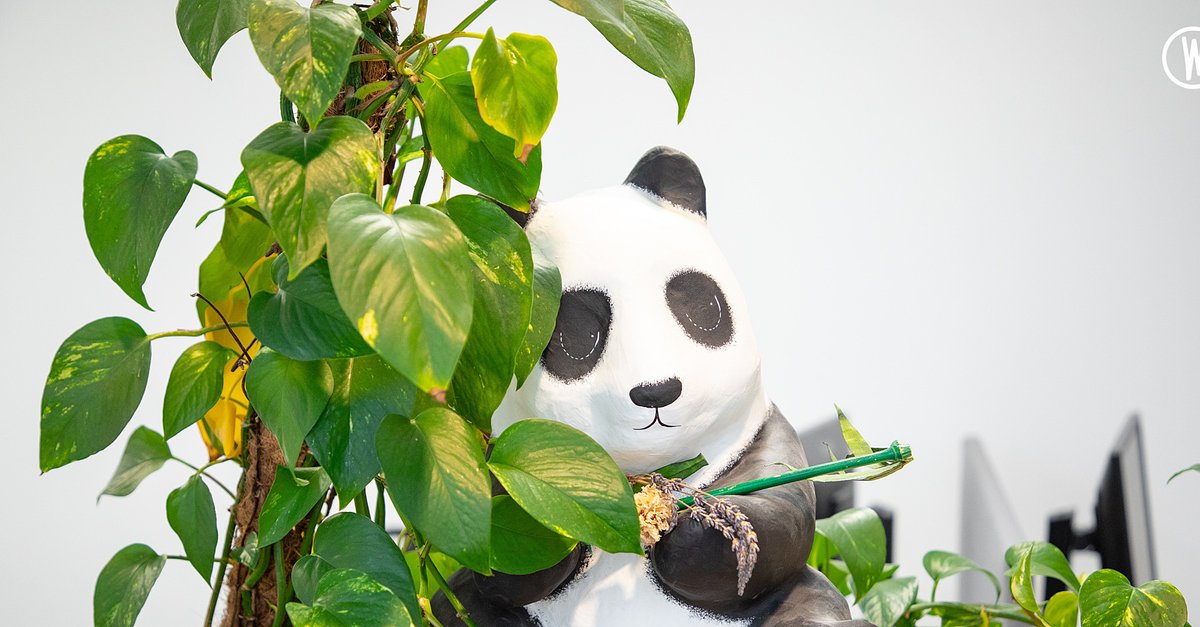 Offres d'emploi et stage - WWF France