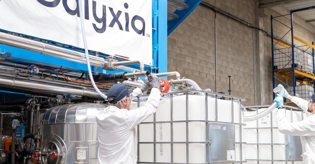 Job and internship opportunities - CALYXIA