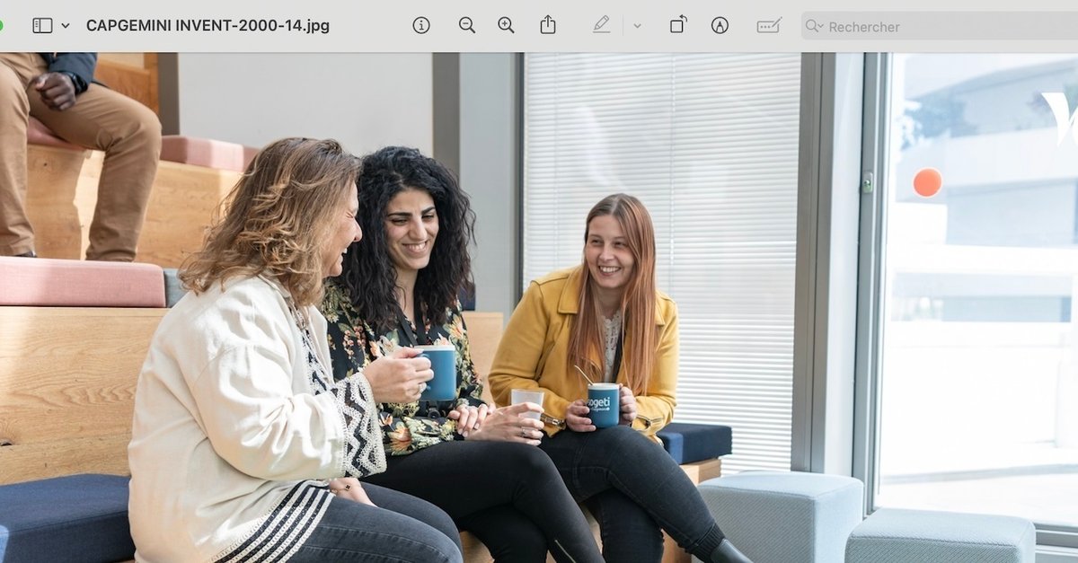 Consultante/Consultant fonctionnel senior - Brest - CAPGEMINI INVENT - CDI à Douarnenez